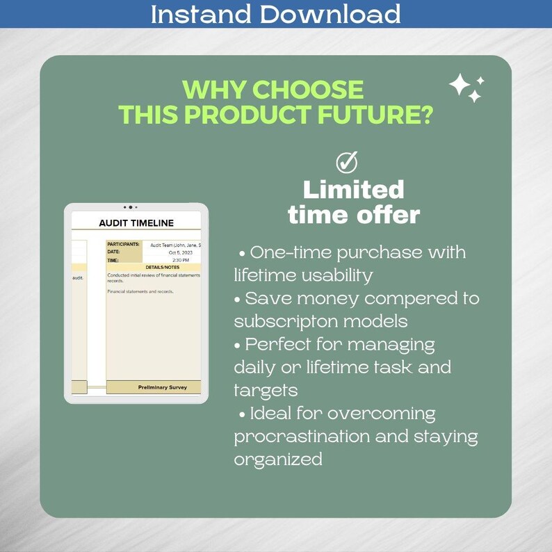 Audit Timeline Template, Editable Google Sheets, Digital Download, Easy ...