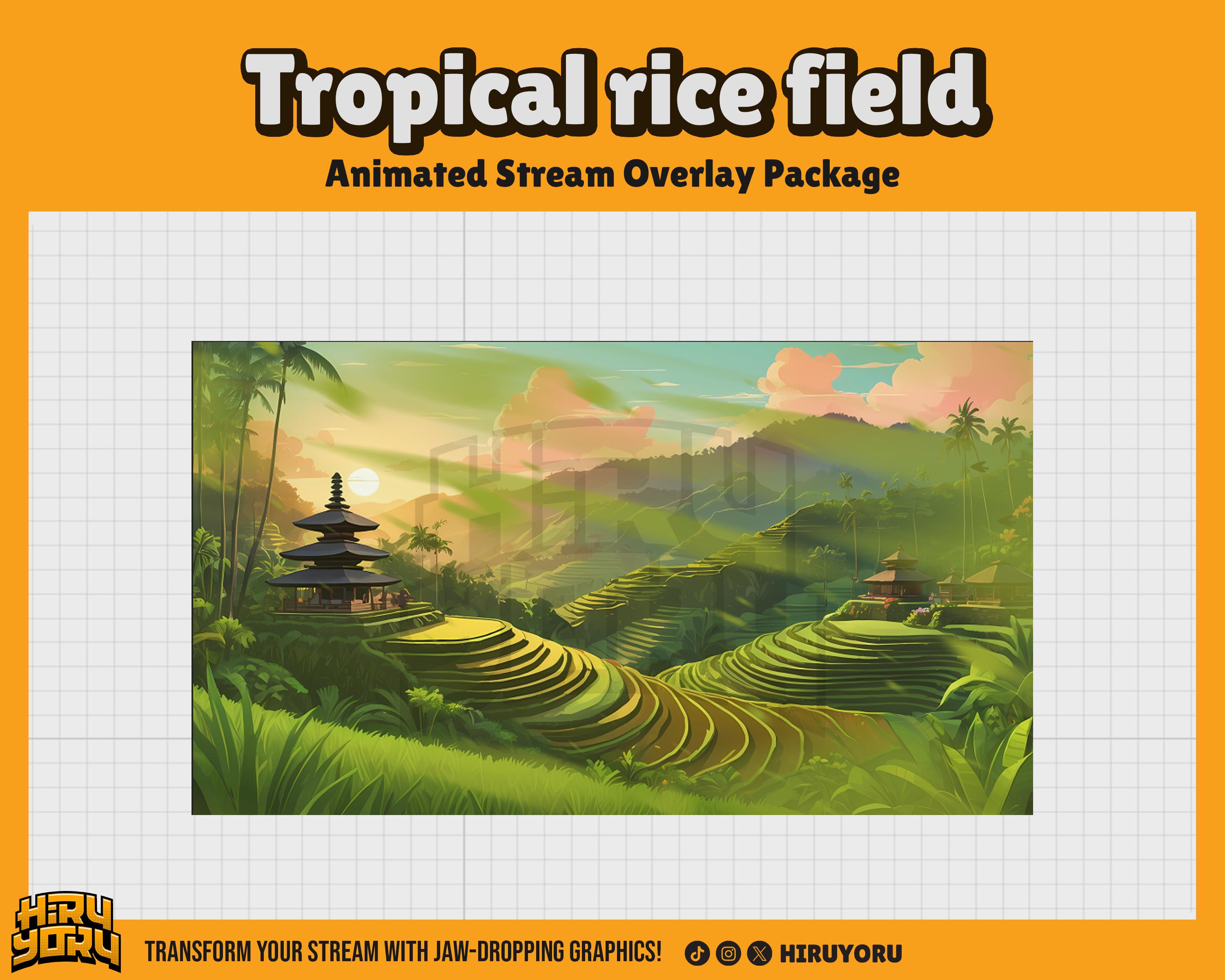 Tropical Rice Field Animated Stream Overlay : Greenery Twitch, Youtube ...