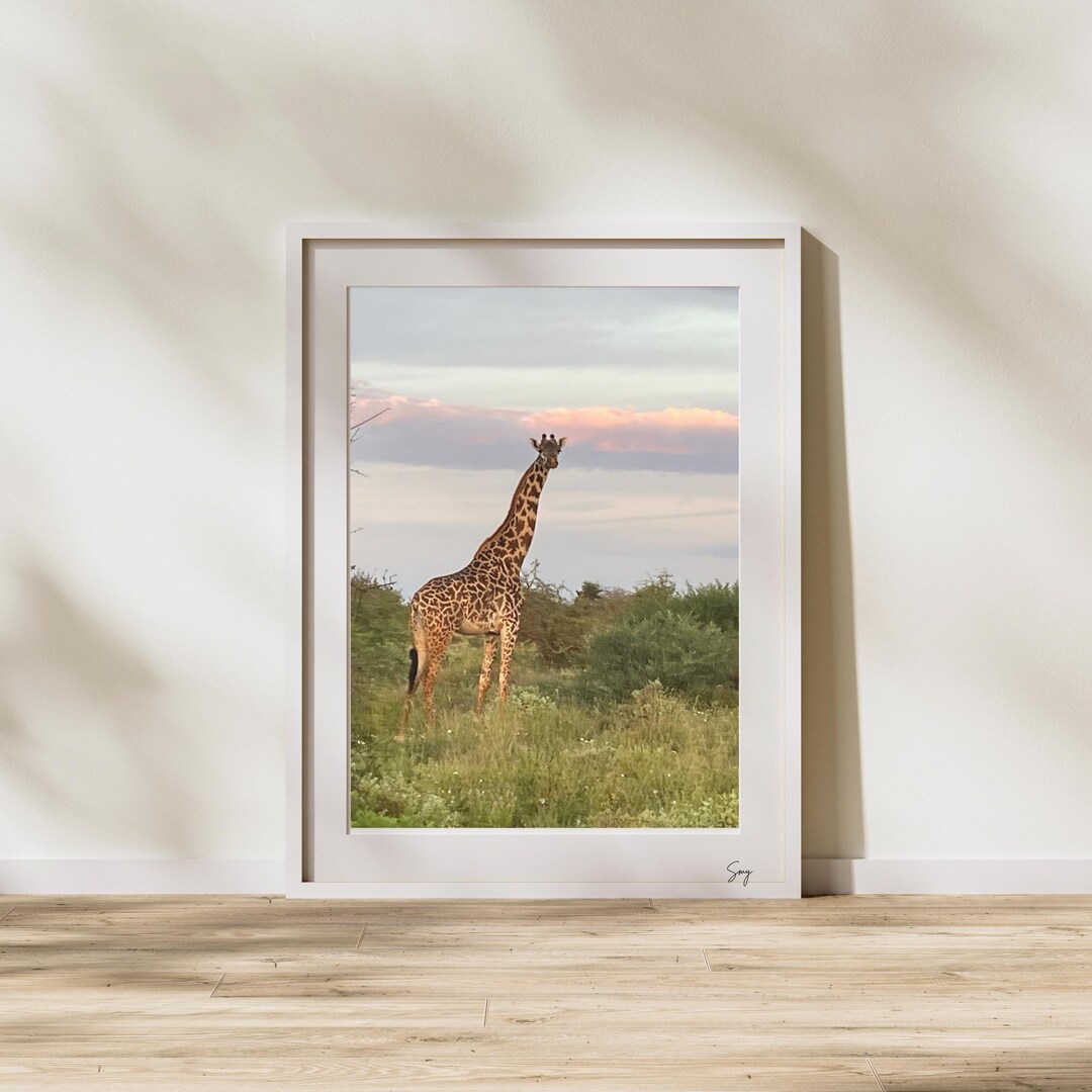Giraffe Photography; Giraffe Wall Art; Giraffe Safari Digital Download ...