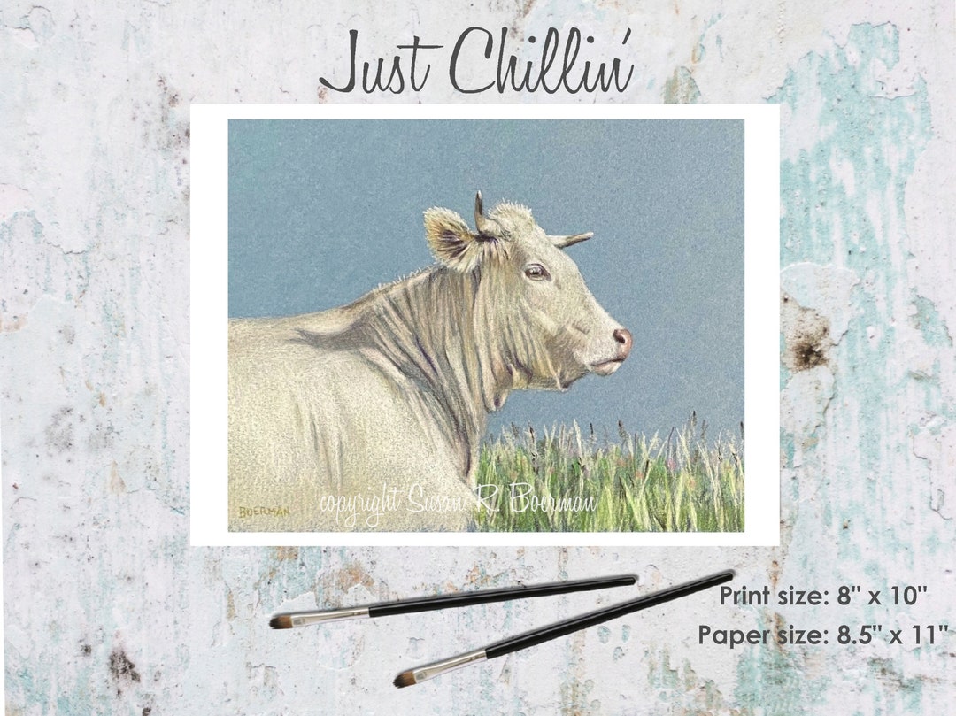 8x10 Fine Art Print, Just Chillin', White Cow Laying in the Grass - Etsy