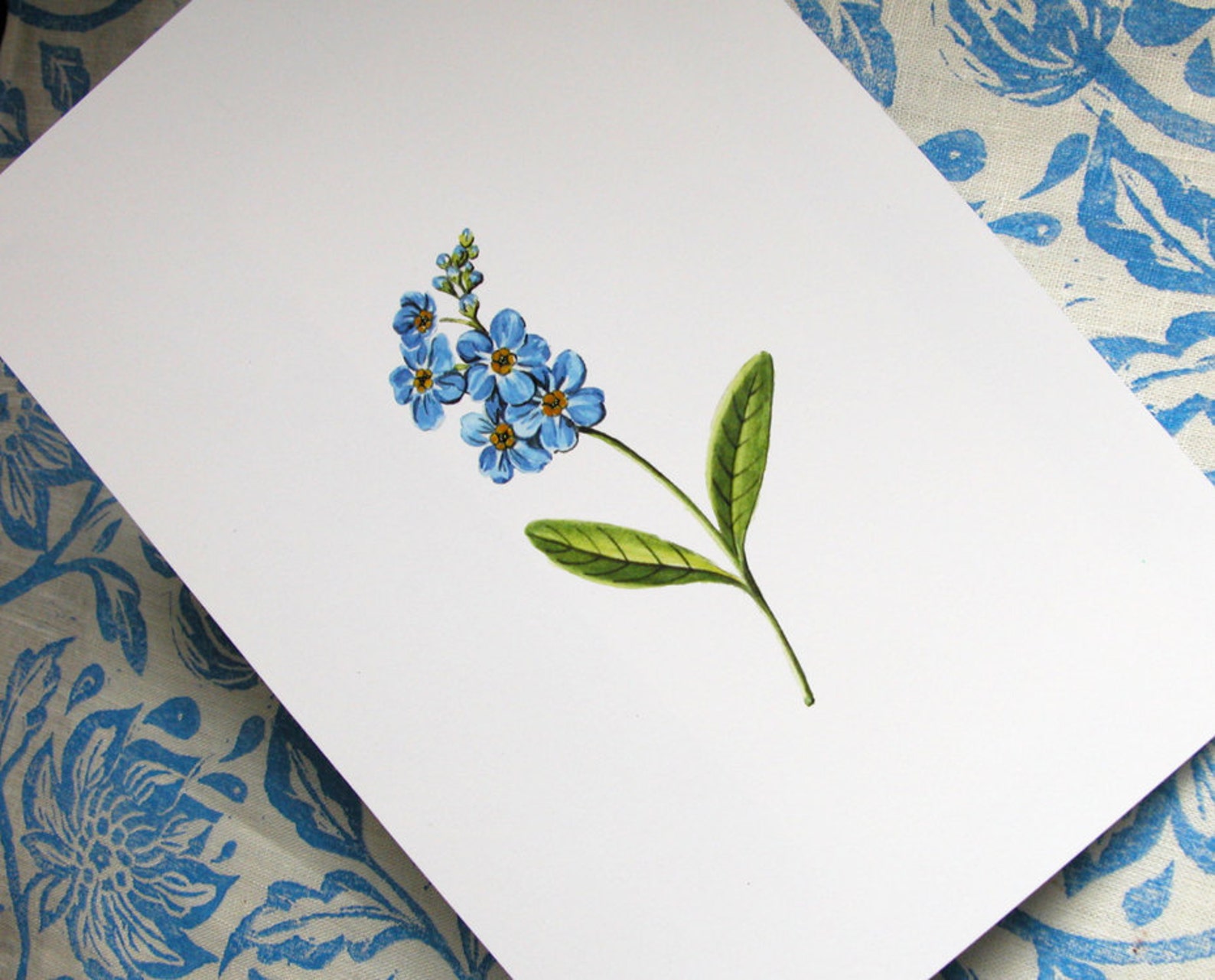 Forget Me Not Original Botanical Illustration Gardening Art Print ...