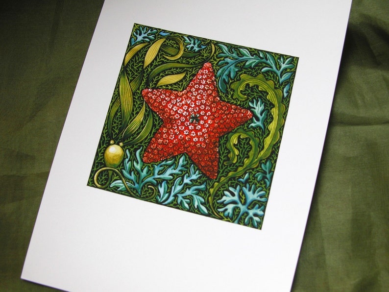 Holiday Sea Star Nautical Natural History Original Art Botanical ...