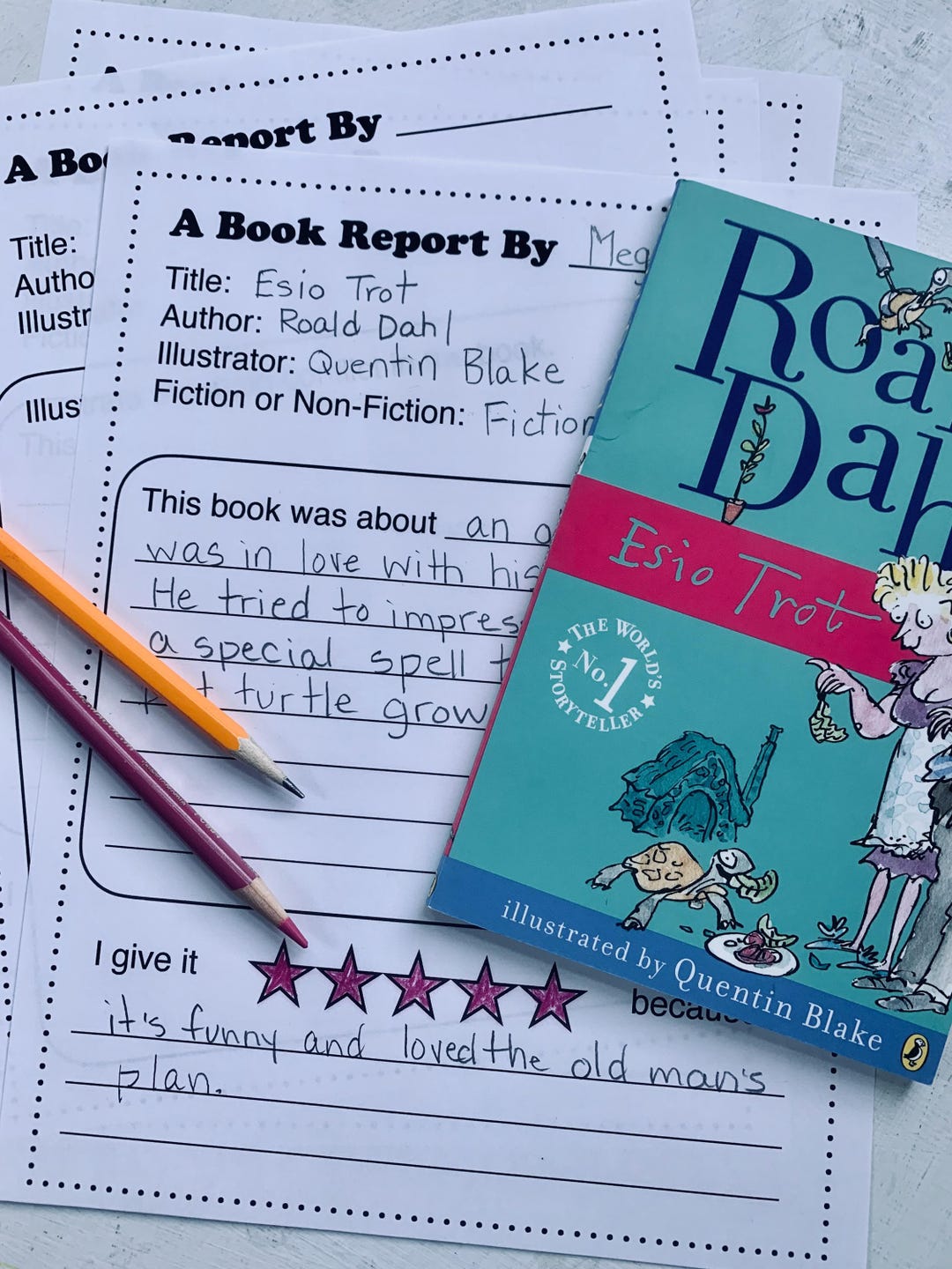 One Page Book Reports Simple Book Reports First Grade Book Reports ...