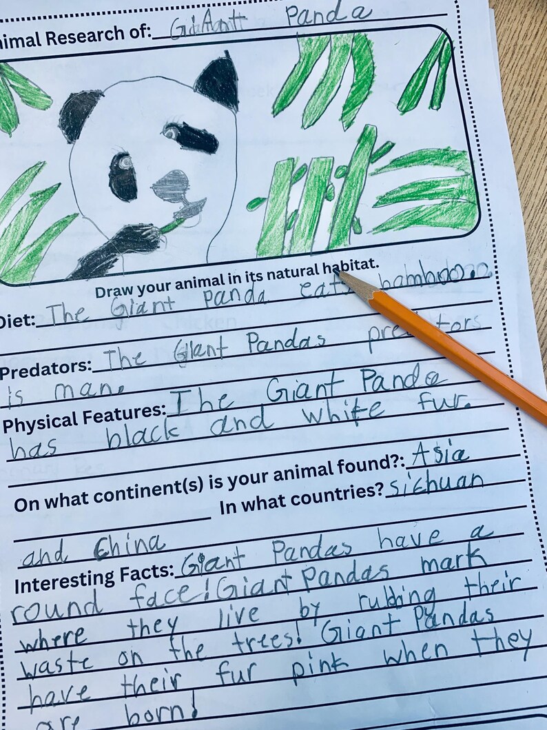 Animal Research Templates for Any Animal Grades 1st Thru 3rd - Etsy