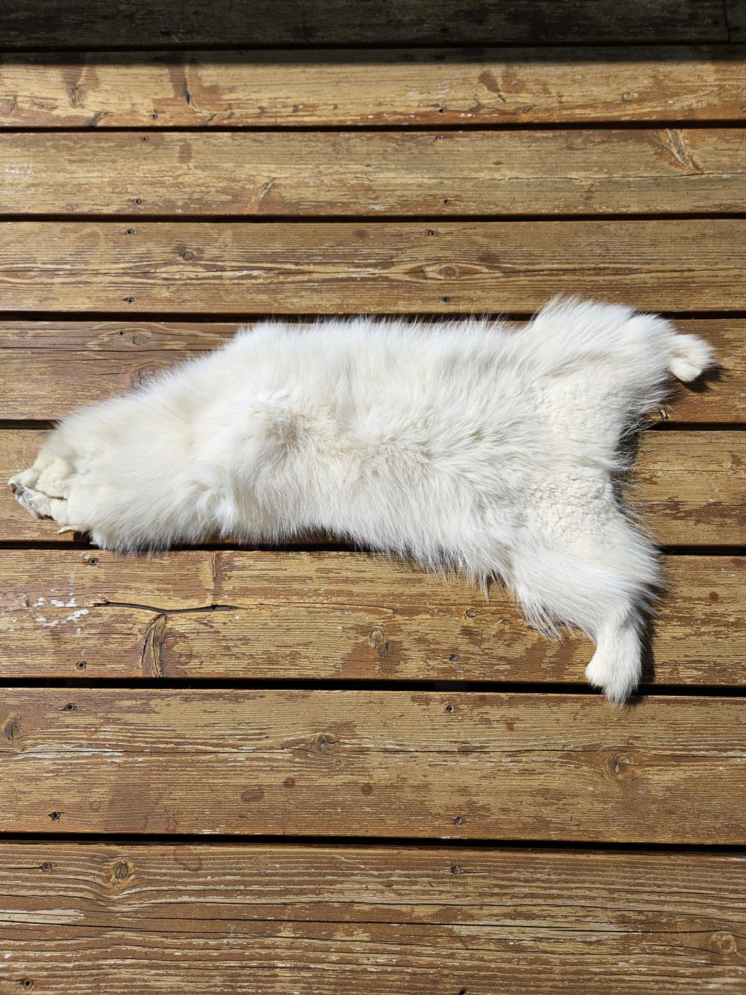 Arctic Fox Pelt 28 X 9 - Etsy