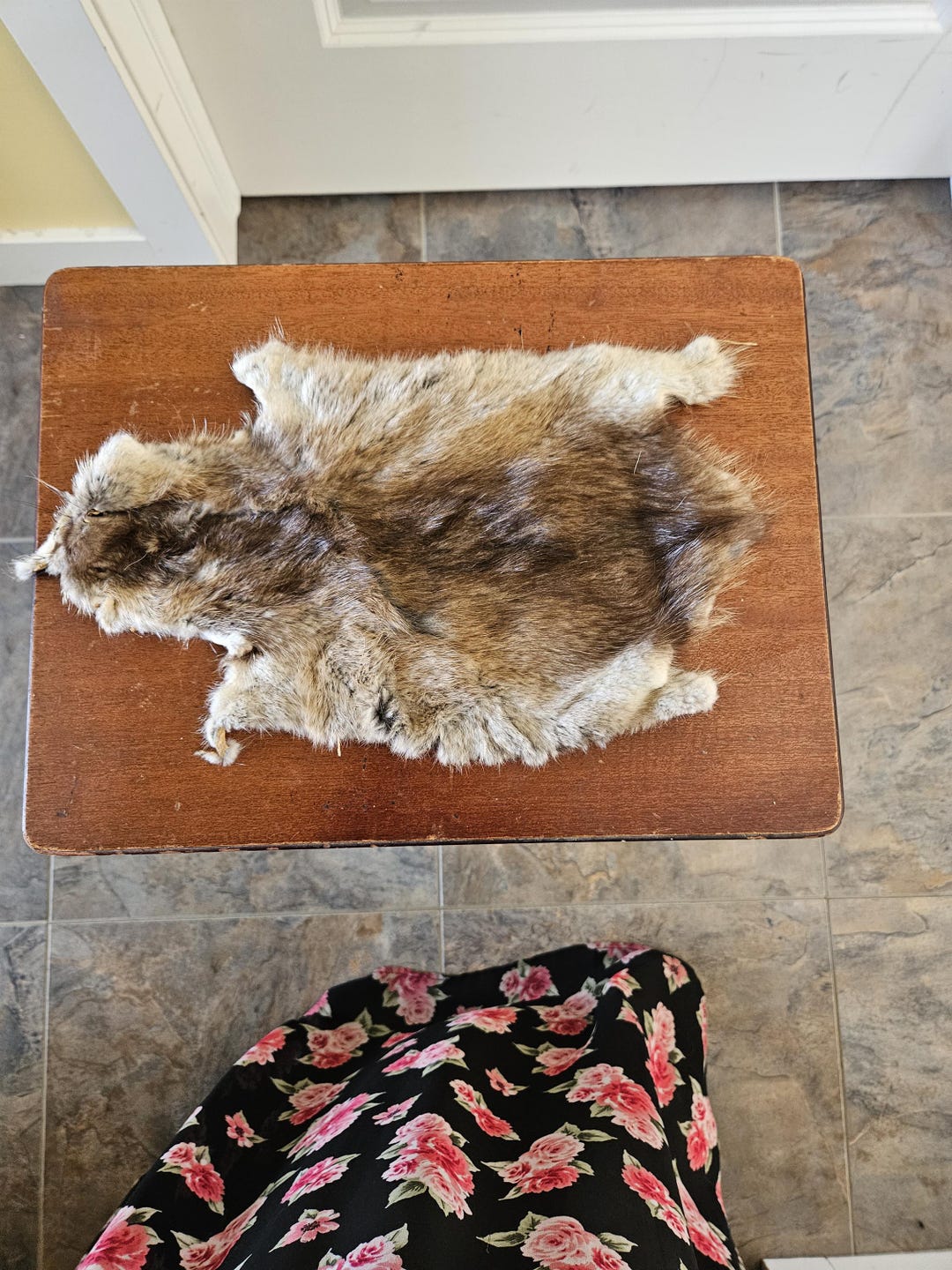Muskrat Pelt 14.5" X 9" - Etsy