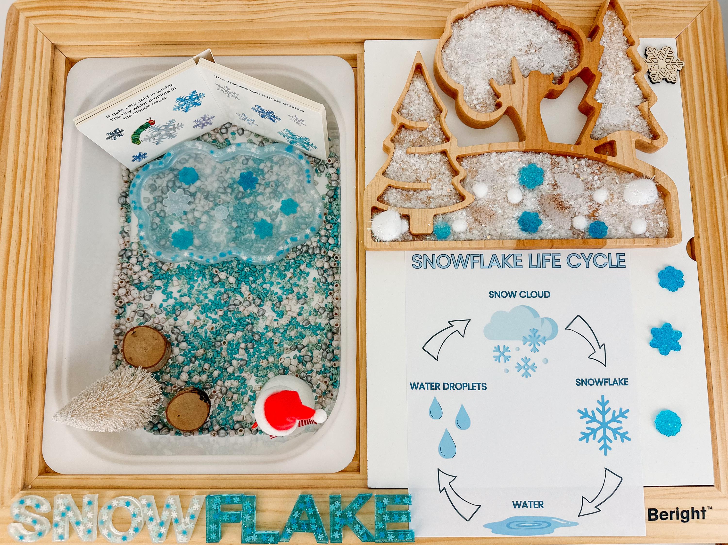 Snow Life Cycle | Snowflake Printable | Winter Kids Activity | Winter I ...