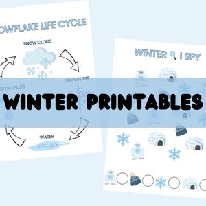 Snow Life Cycle | Snowflake Printable | Winter Kids Activity | Winter I ...