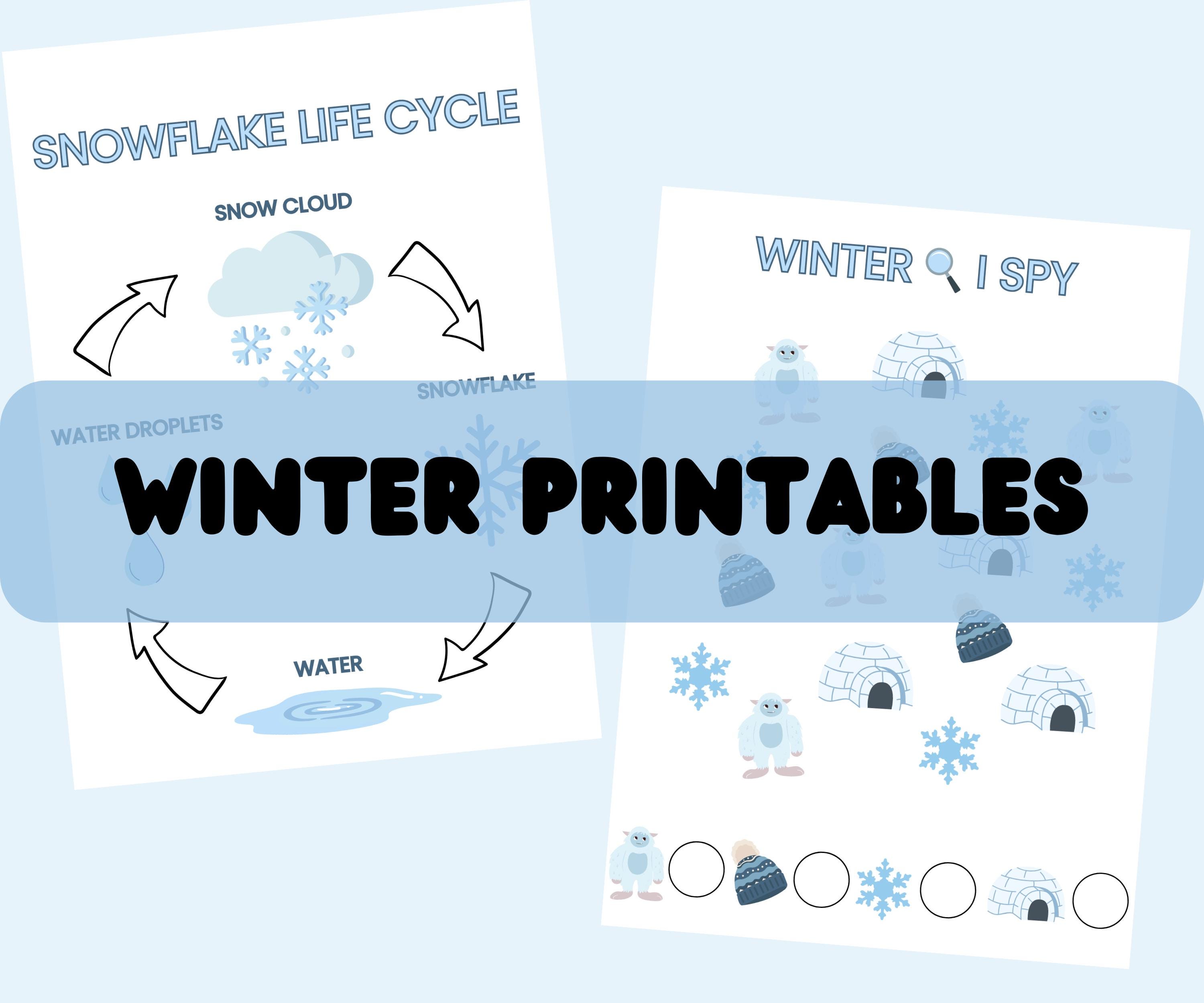 Snow Life Cycle | Snowflake Printable | Winter Kids Activity | Winter I ...