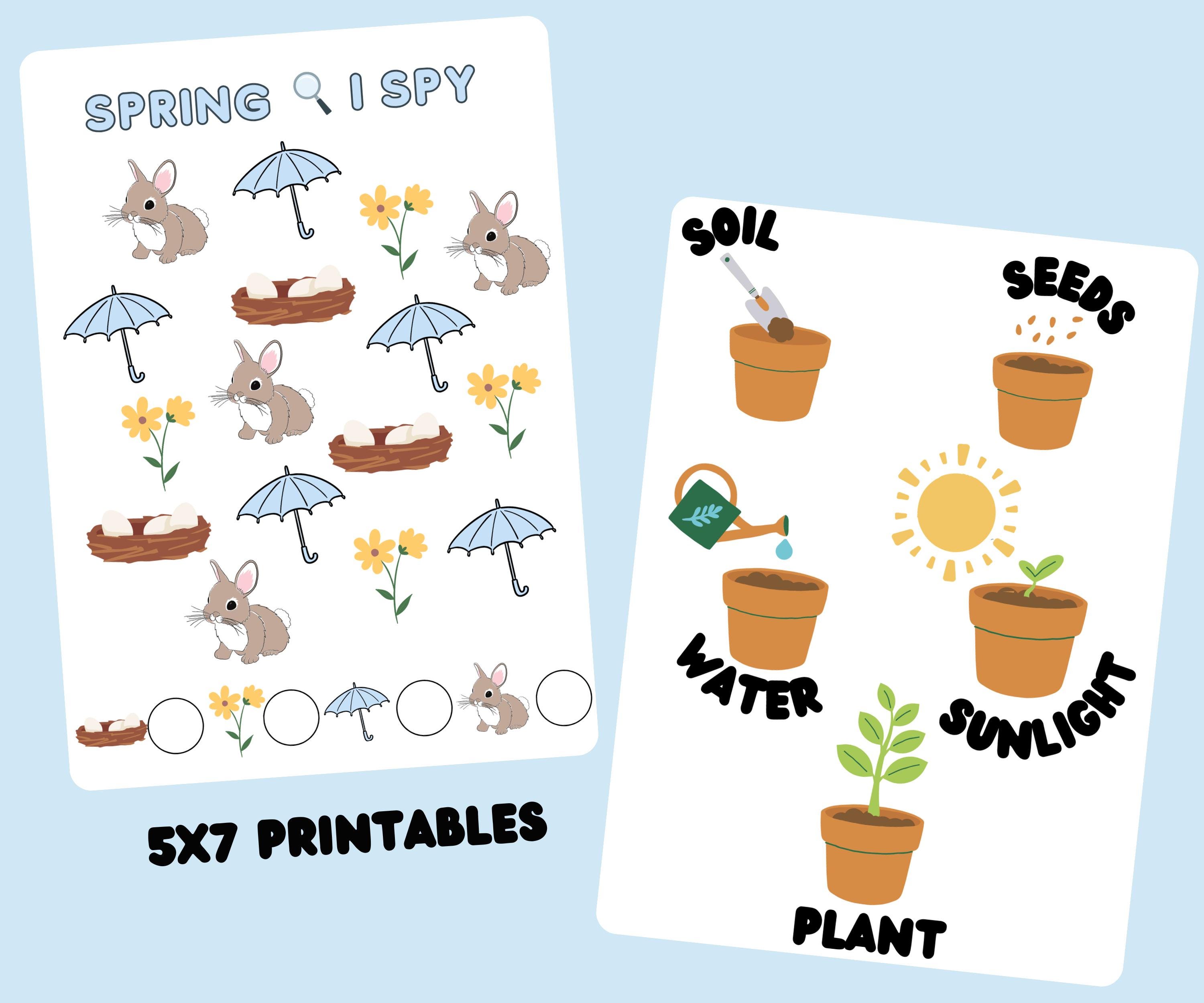 Spring Printables | Spring Kids Activity | Spring I SPY | Spring Seek ...