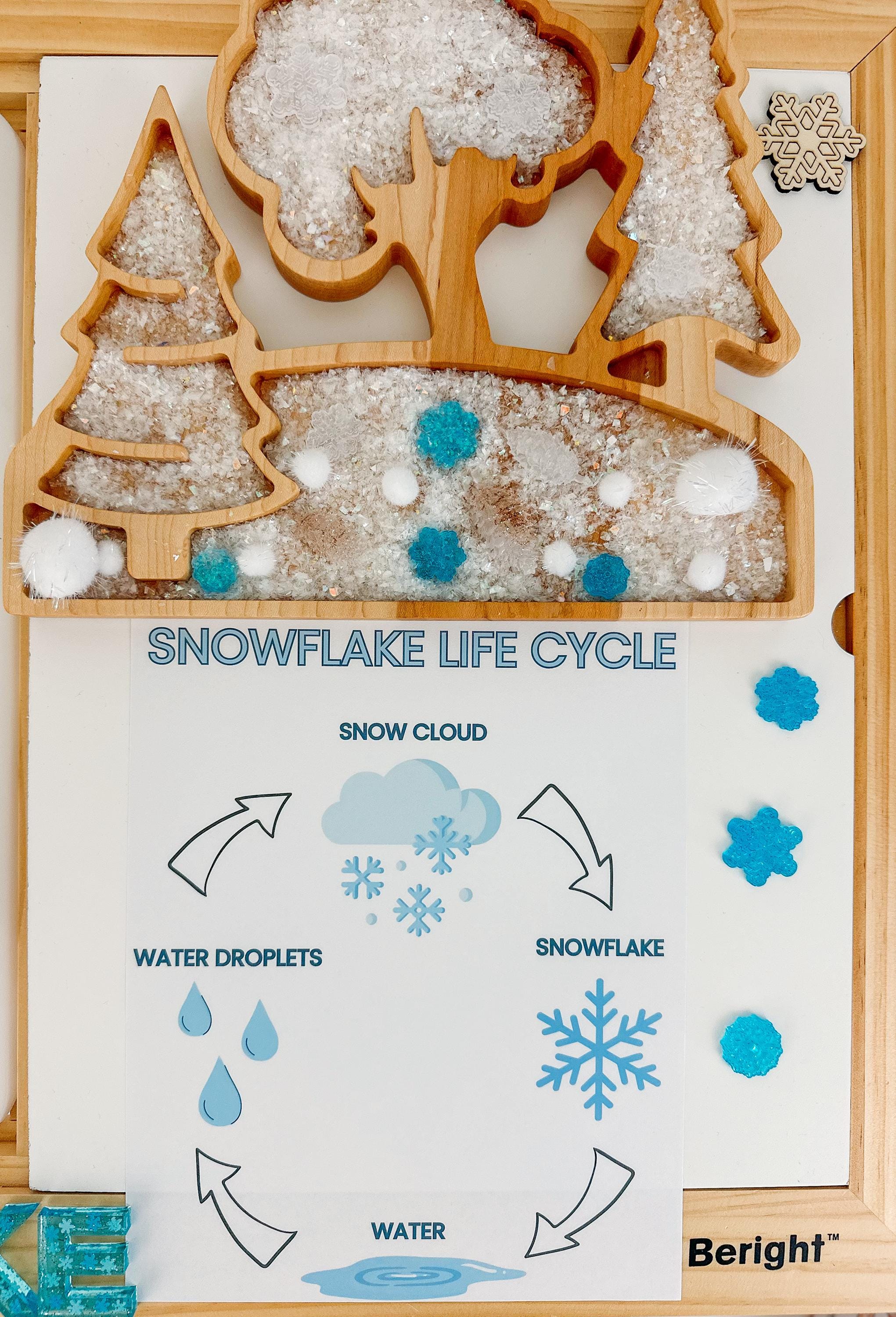 Snow Life Cycle | Snowflake Printable | Winter Kids Activity | Winter I ...