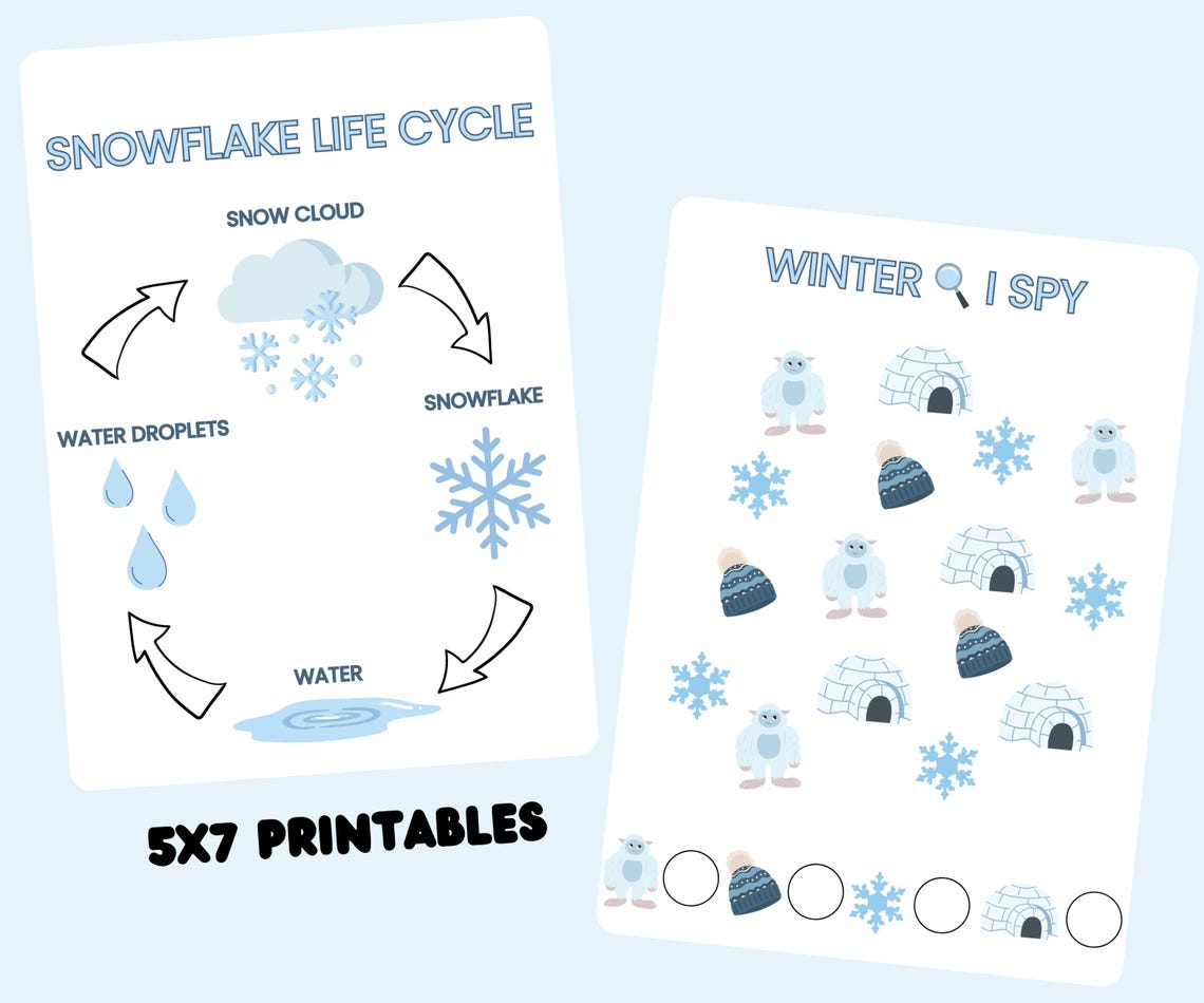 Snow Life Cycle | Snowflake Printable | Winter Kids Activity | Winter I ...