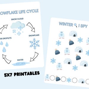 Snow Life Cycle | Snowflake Printable | Winter Kids Activity | Winter I ...