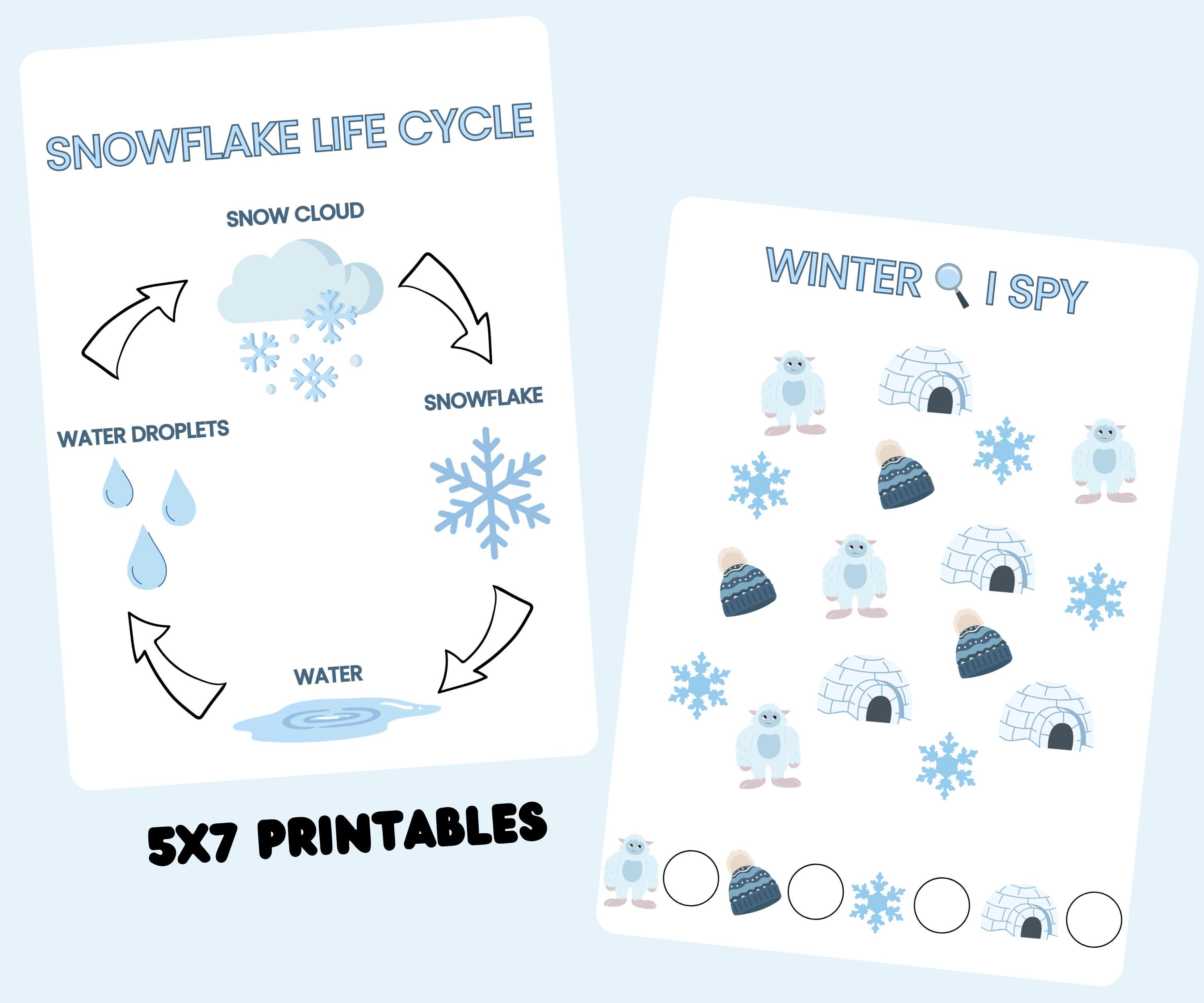 Snow Life Cycle | Snowflake Printable | Winter Kids Activity | Winter I ...