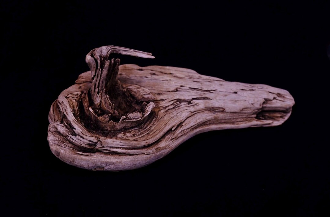 Pine Driftwood, Hardscape for Aquarium Center Piece or Reptile / Spider ...