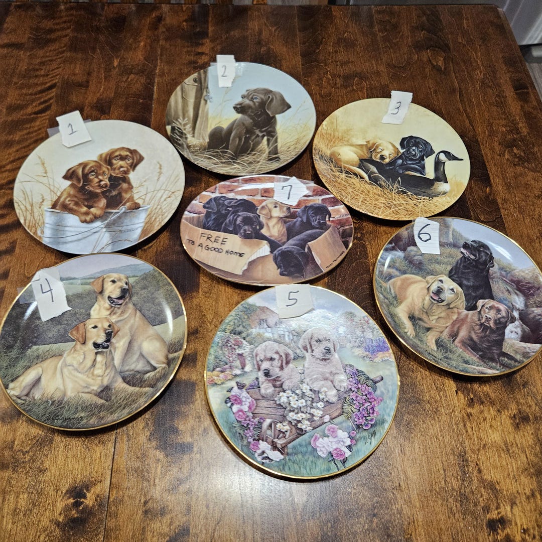 Choice Vintage Decorator Dog Plates Labrador Retriever and Weimaraner ...