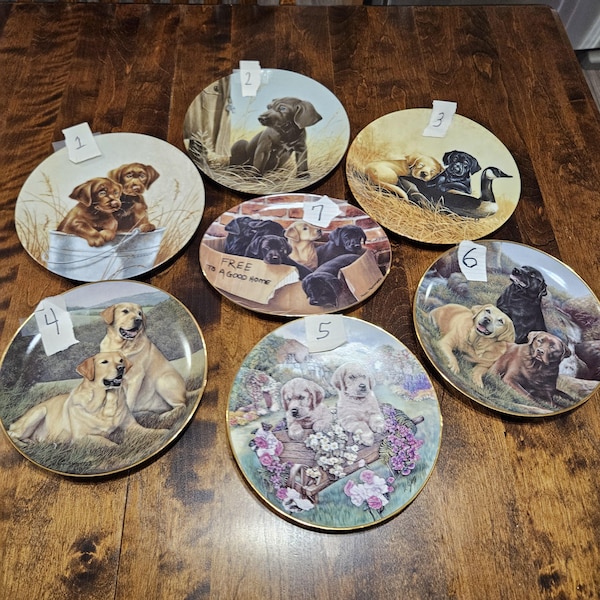 Dog Plate - Etsy