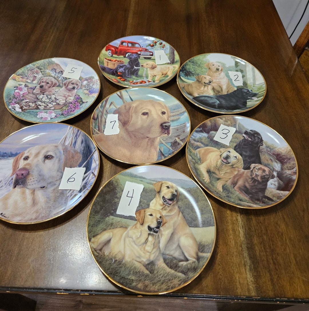 Vintage Decorator Dog Plates Labrador Retriever and Golden Retriever ...