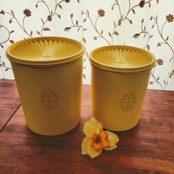 Tupperware Flour Container - Etsy