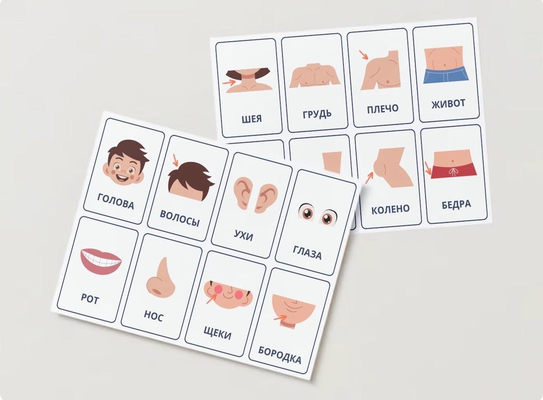 Body Parts Flashcards in Russian Toddler Learning Printables Early ...