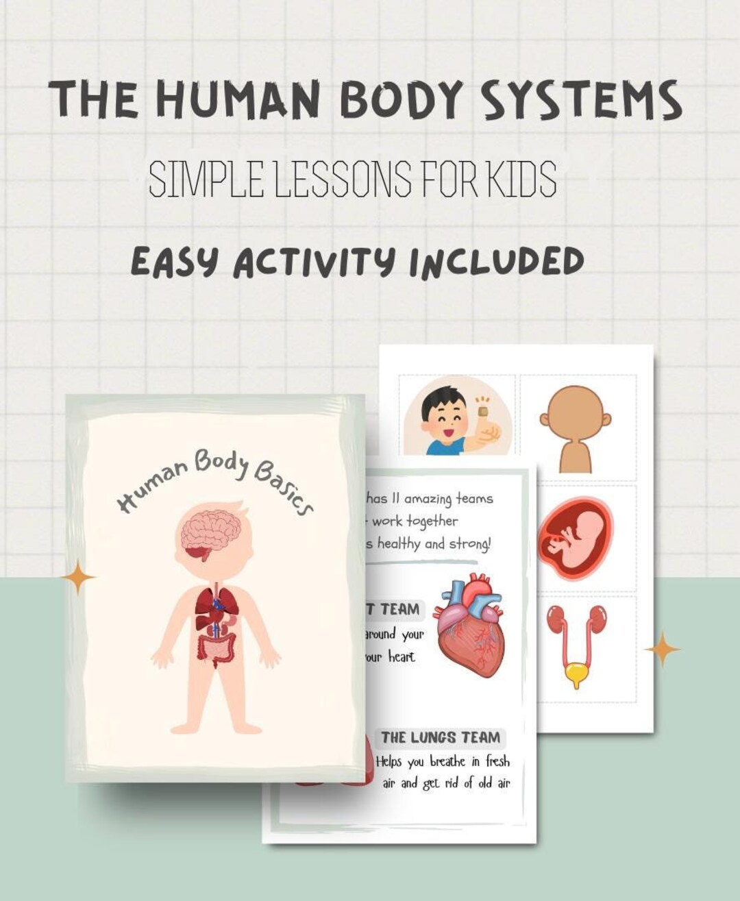 Educational Printables for Kids | Human Body Basics in English - Etsy