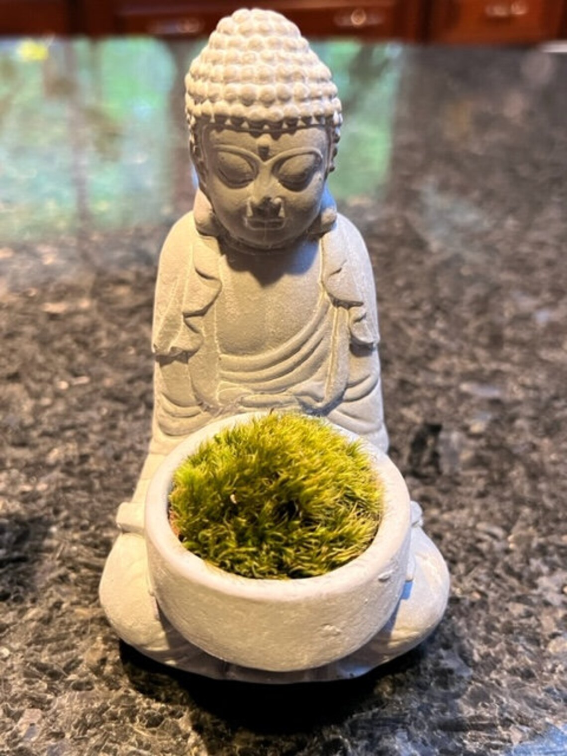 Relax and Reflect: This Zen Buddha With Living Moss is More Than Decor ...