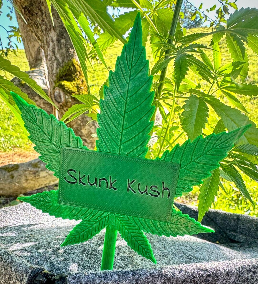 3x Cannabis Plant Labels- Cannabis Markers| Marijuana Labels| Herb ...