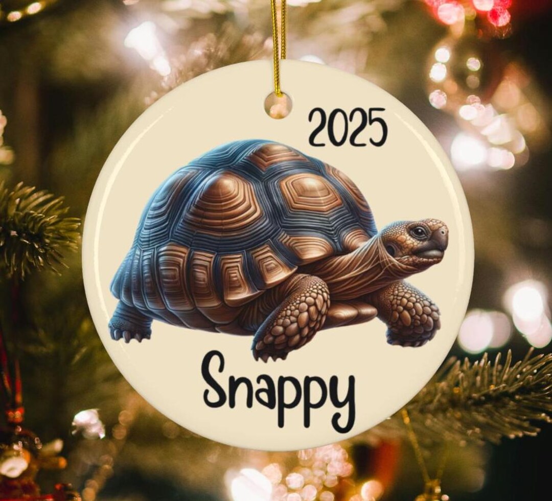 Tortoise Ornament, Turtle Ornament, Gift for Tortoise Lover ...