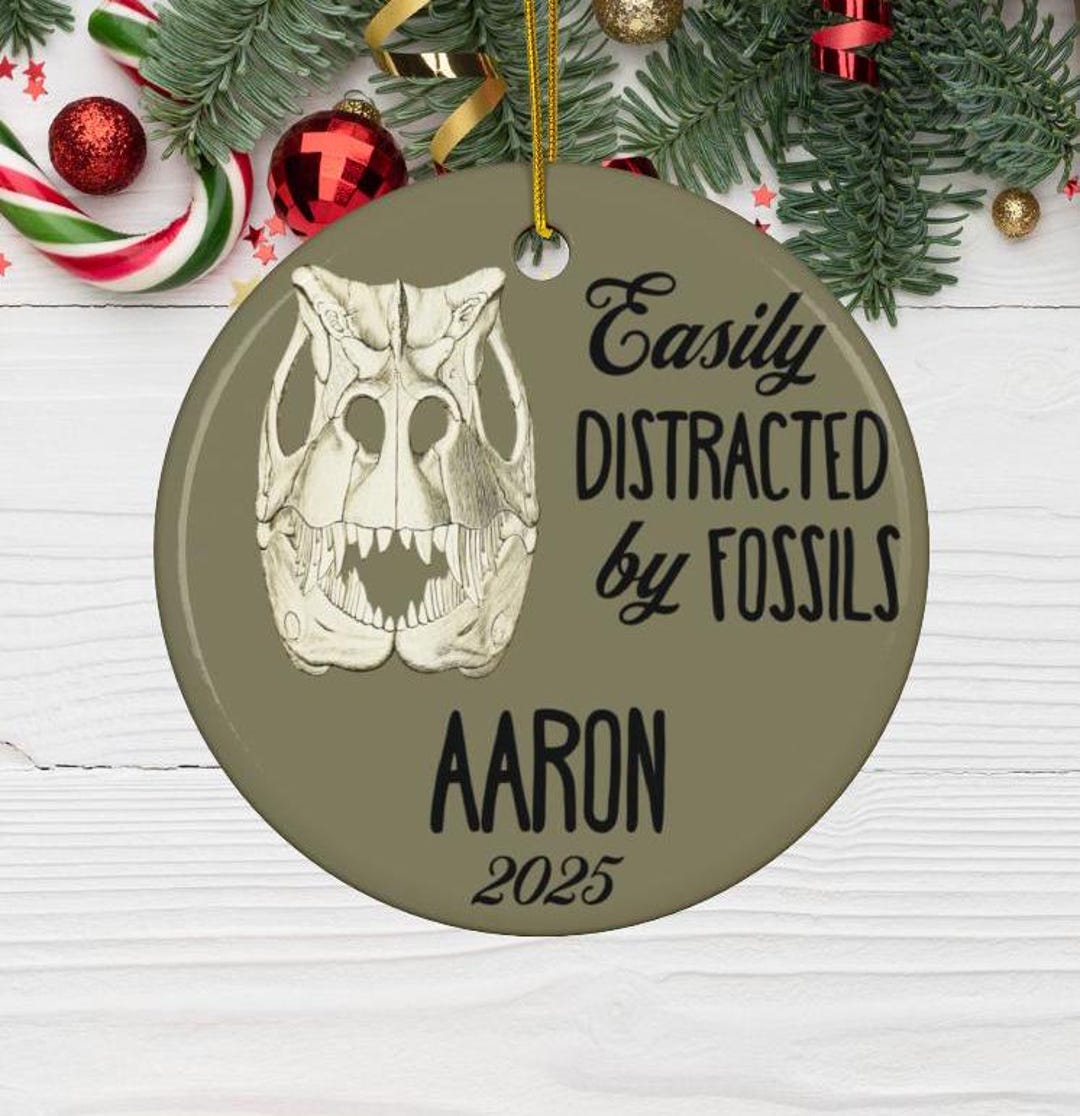 Fossil Christmas Ornament, Personalized Future Paleontologist, Dinosaur ...