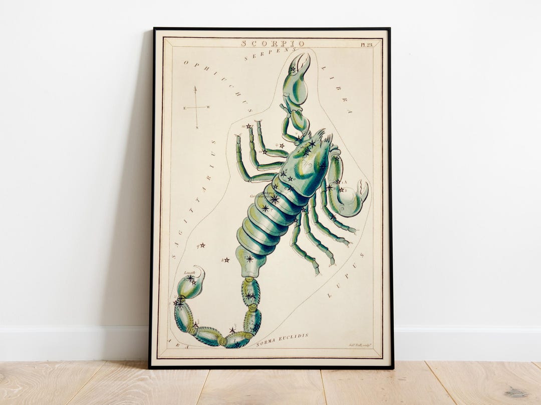 Scorpio Star Map Print, Vintage Astrology Poster, Celestial Horoscope ...