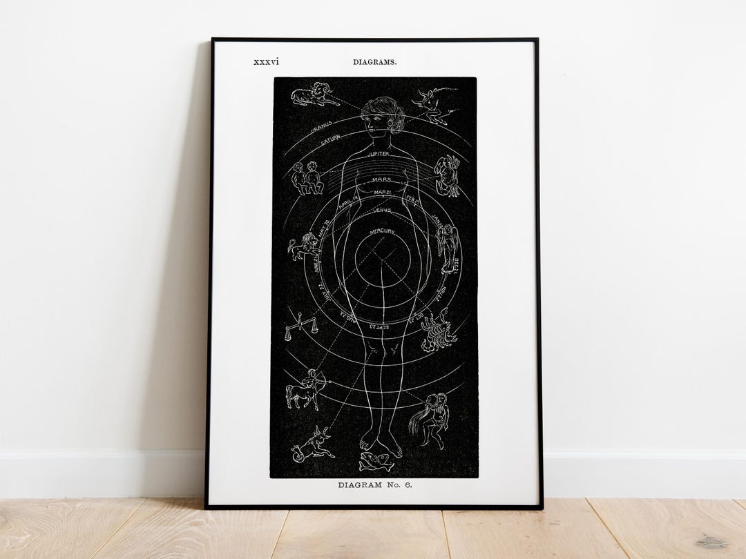 Vintage Zodiac, Anatomy Diagram, Astrology & Planetary Influence ...
