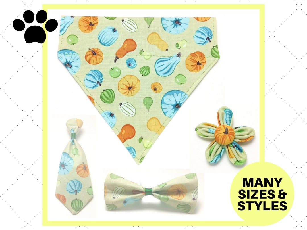Harvest Gourd Pet Accessory - Over the Collar - Custom - Bandana, Bow ...