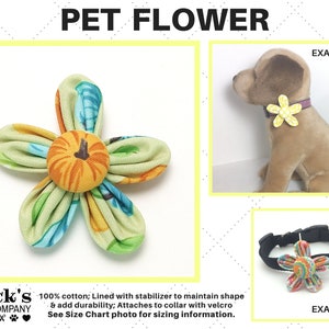 Harvest Gourd Pet Accessory - Over the Collar - Custom - Bandana, Bow ...