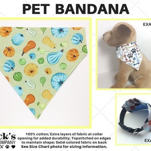Harvest Gourd Pet Accessory - Over the Collar - Custom - Bandana, Bow ...