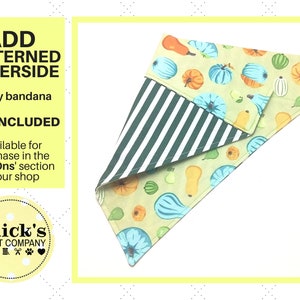 Harvest Gourd Pet Accessory - Over the Collar - Custom - Bandana, Bow ...