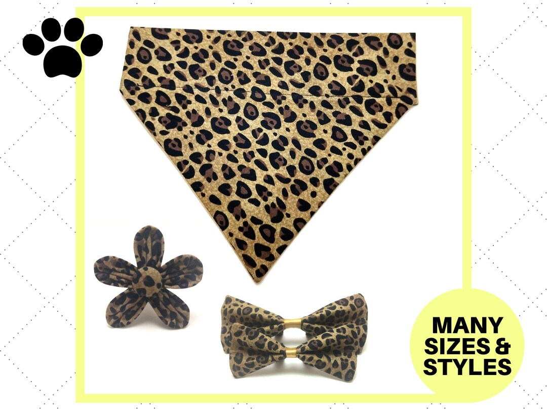 Cheetah Print Pet Accessory - Over-the-collar - Custom - - Bandana, Bow ...