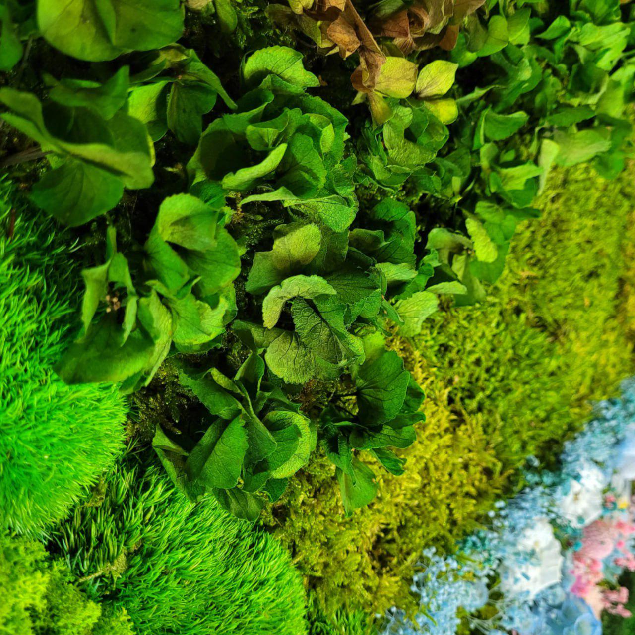 Wave Moss Art – Vibrant Wall Panel, Modern Green Decor, Textured Moss ...