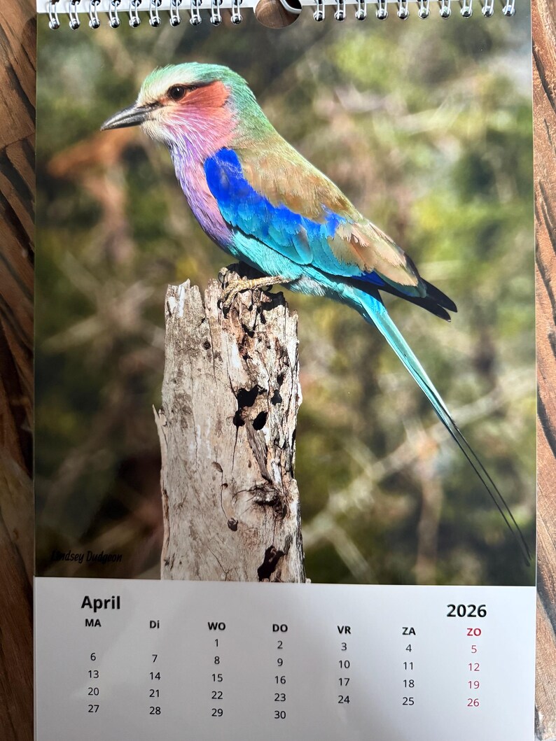 2026 Calendar- Birds of Kruger National Park - Etsy