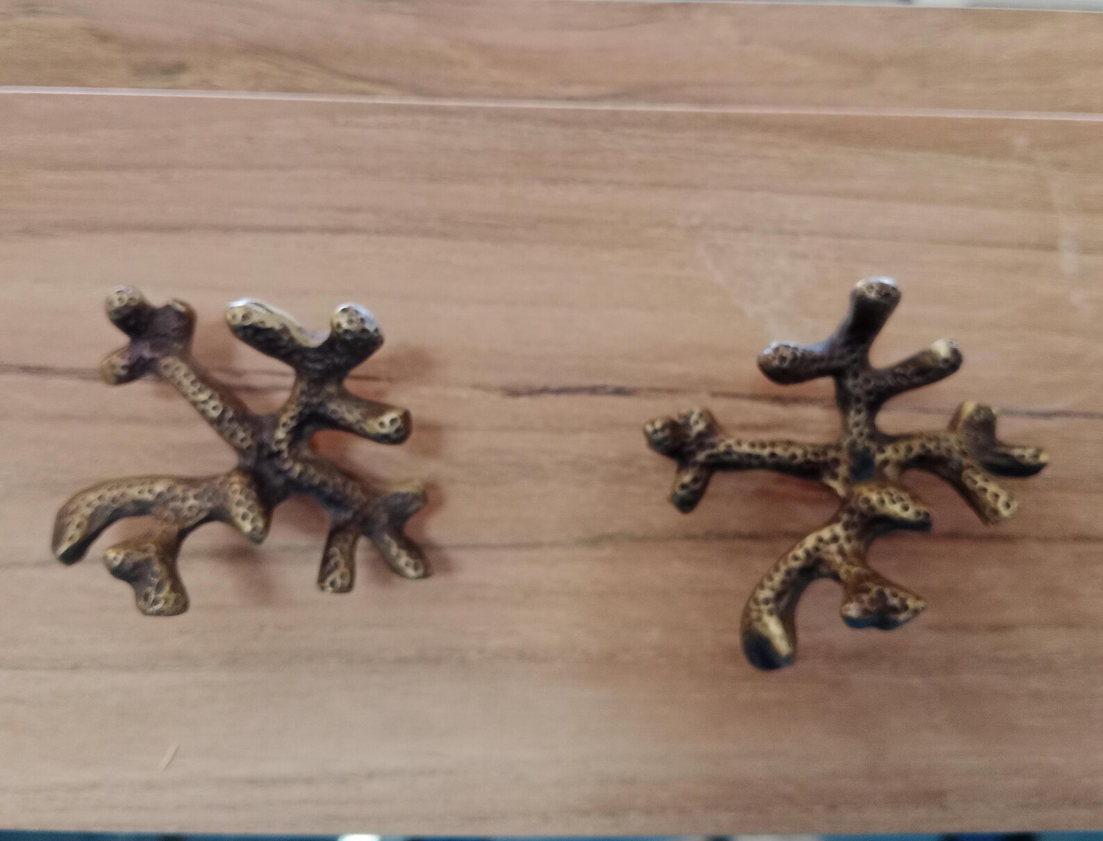 Drawer Cabinet Door Pull Handle Solid Brass Antique Desain Coral - Etsy