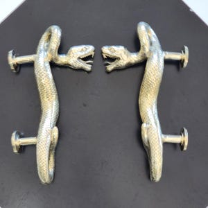 Pair Python SNAKE Door Pulls Hidden Fixinng Polished Brass Old Style ...