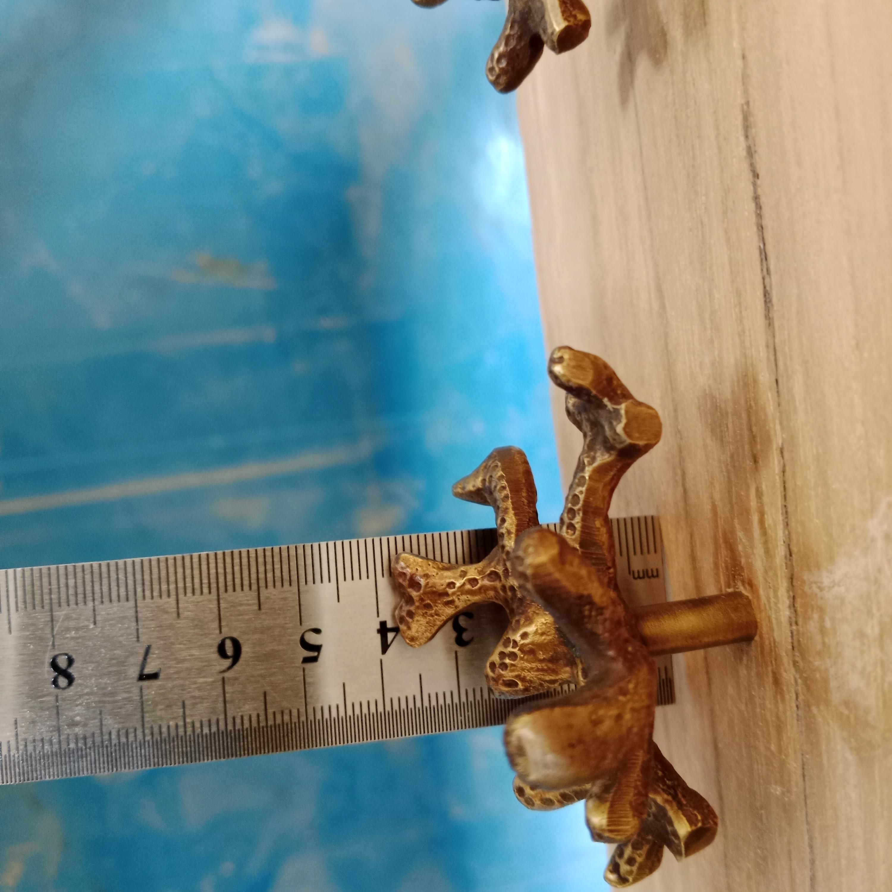 Drawer Cabinet Door Pull Handle Solid Brass Antique Desain Coral - Etsy