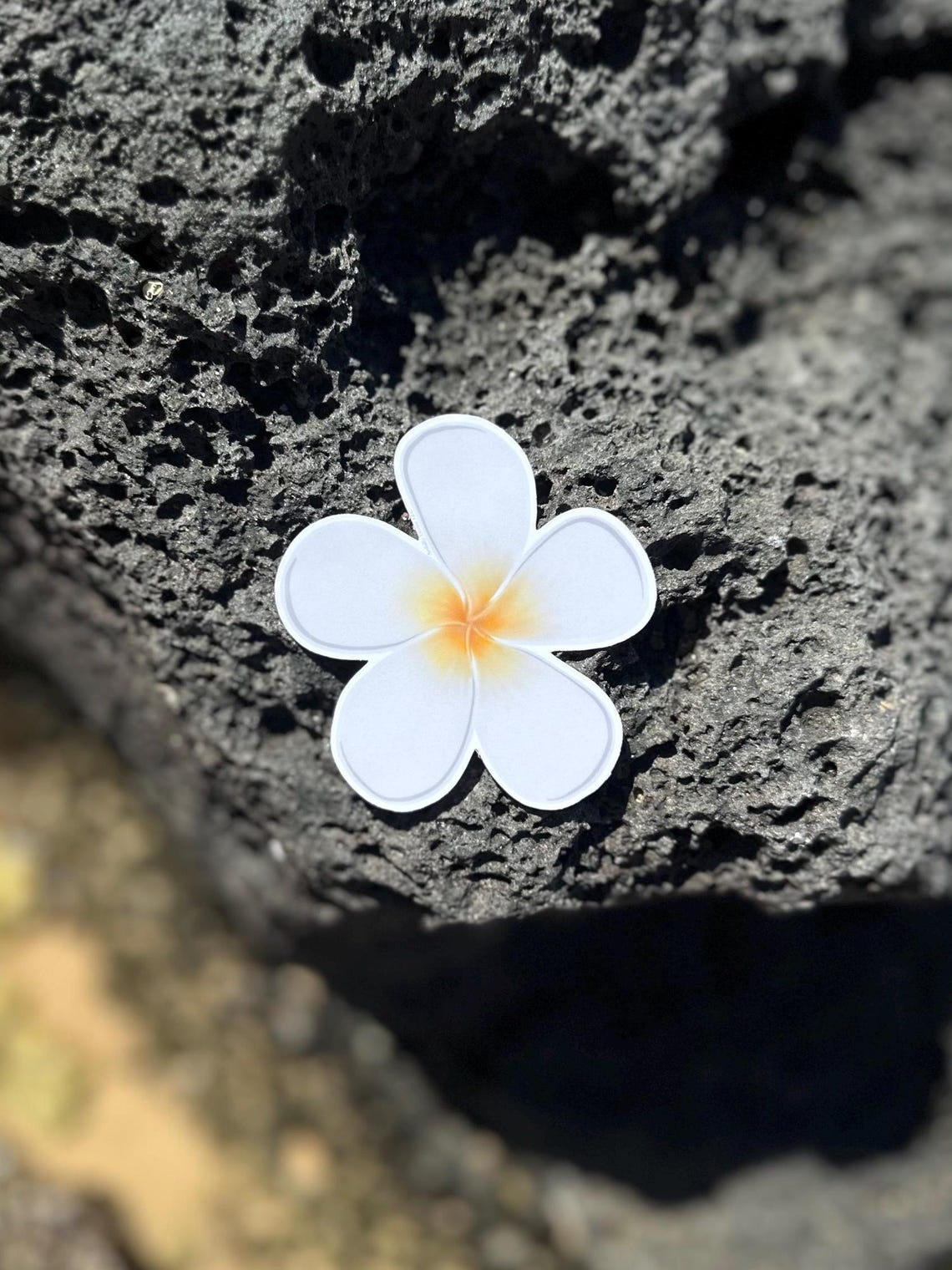 Hand-drawn Weatherproof and Waterproof Island Plumeria Flower Sticker ...