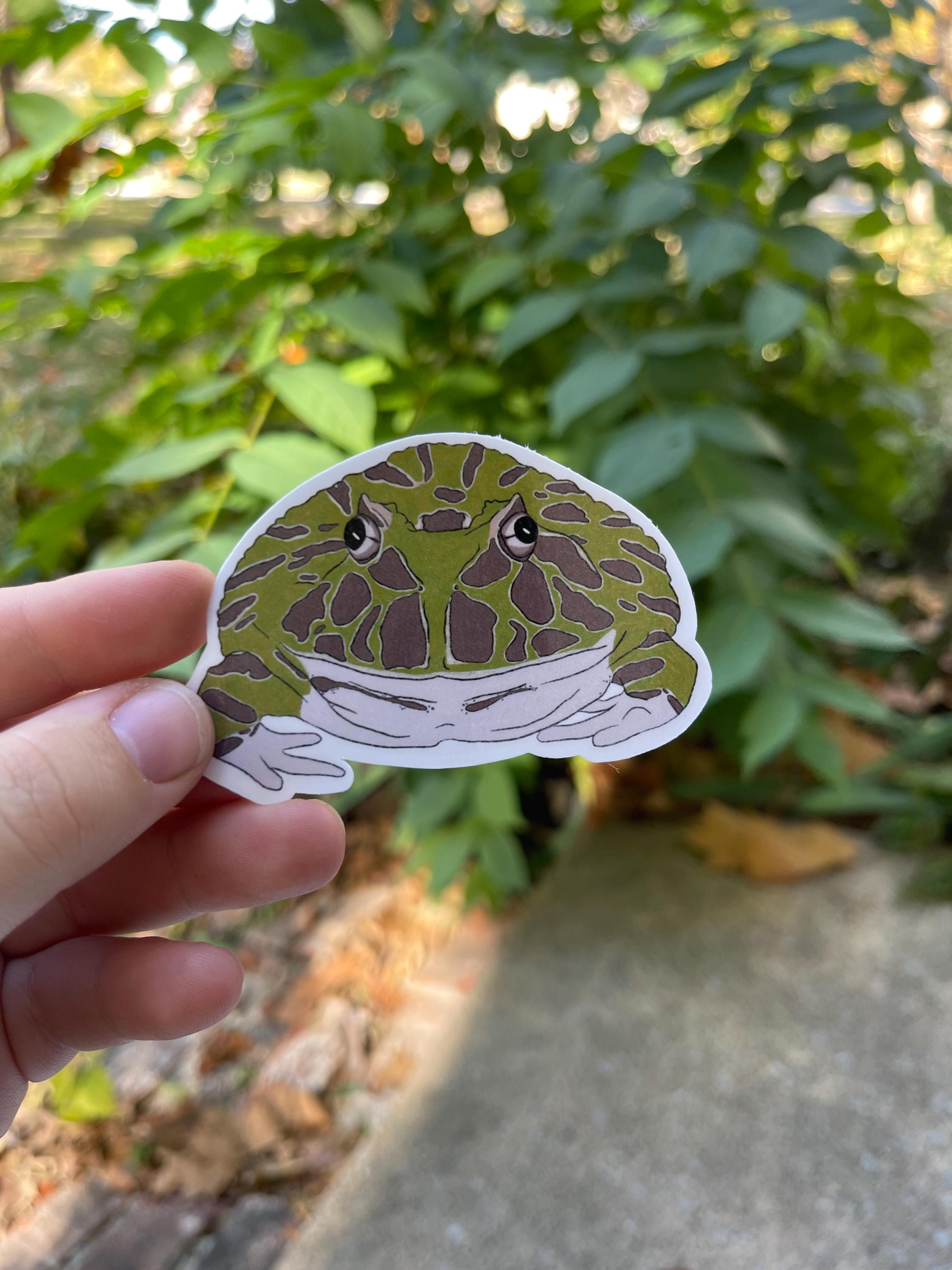 Pacman Frog Sticker | Glossy | Cute and Silly | Vibrant and Colorful ...