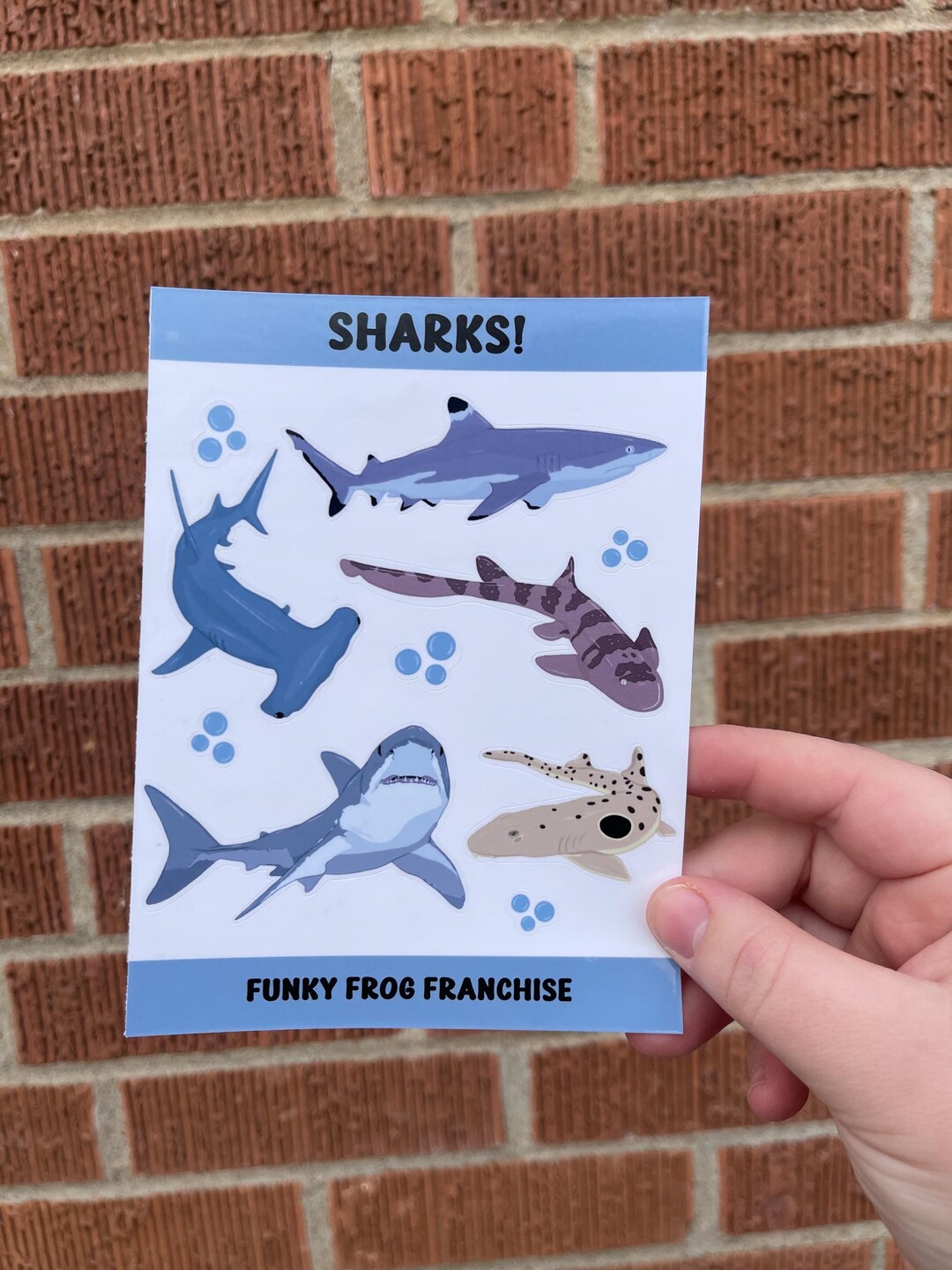 Sharks Sticker Sheet | Glossy | Epaulette, Hammerhead, Bamboo, Reef ...