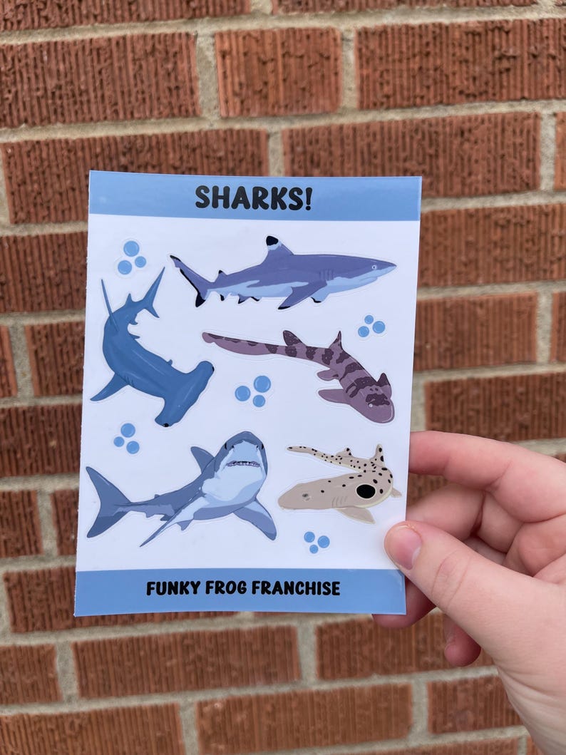 Sharks Sticker Sheet | Glossy | Epaulette, Hammerhead, Bamboo, Reef ...
