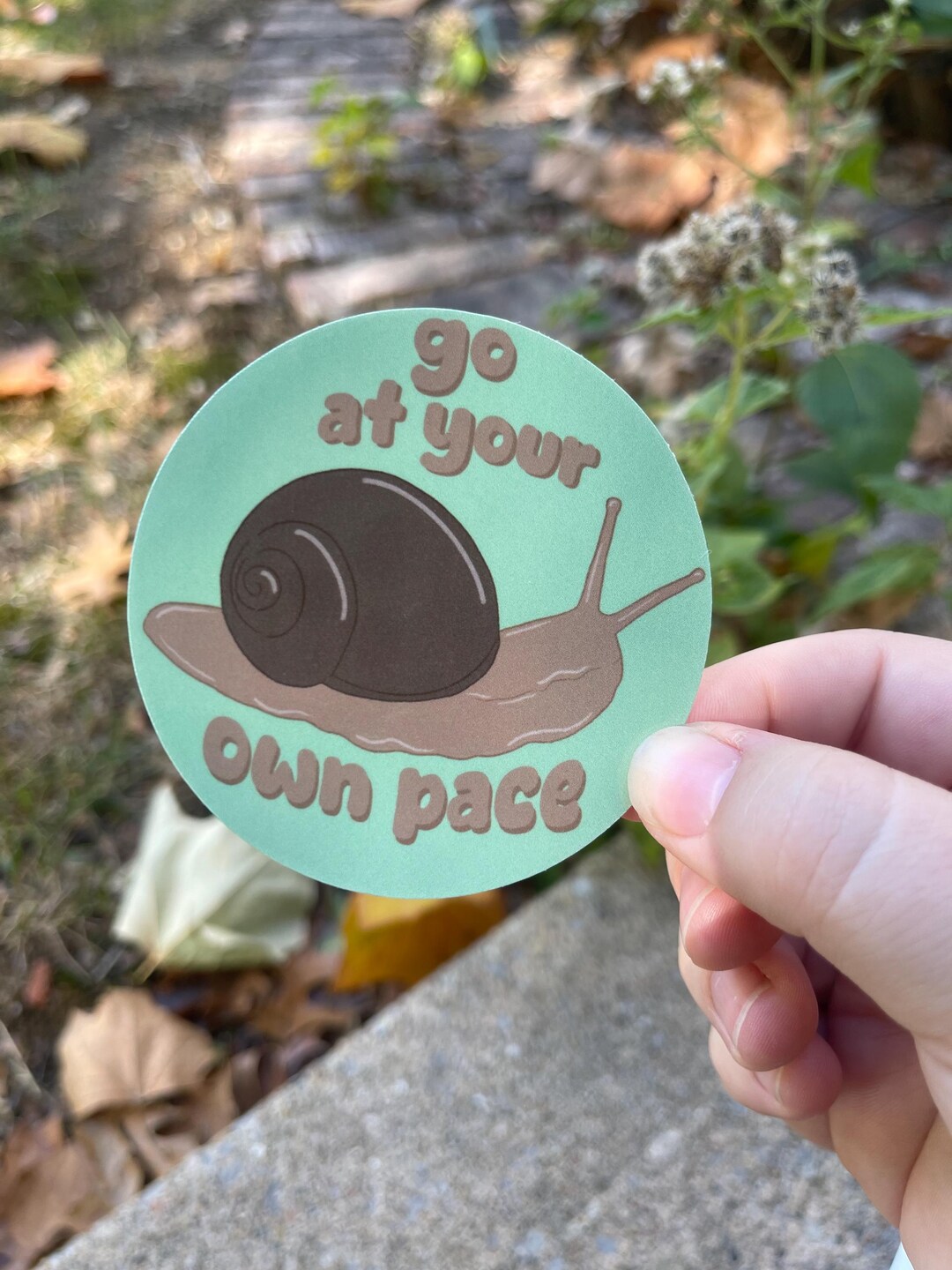 Snail "go at Your Own Pace" Circle Sticker | Glossy | Cute & Silly ...