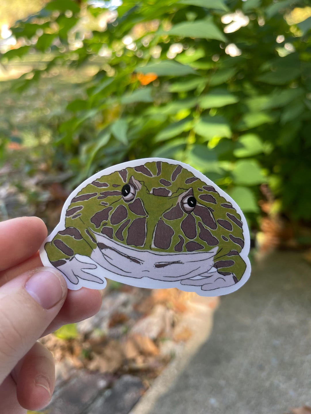 Pacman Frog Sticker | Glossy | Cute and Silly | Vibrant and Colorful ...