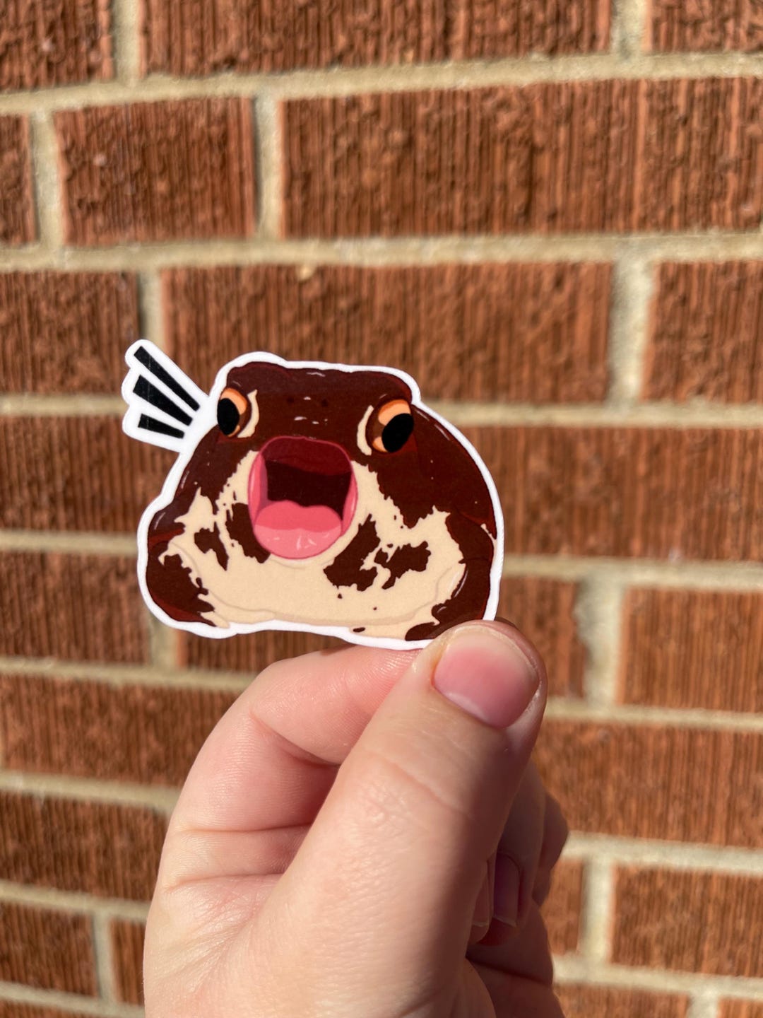 Rain Frog Sticker - Angry | Glossy | Cute & Silly | Vibrant and ...
