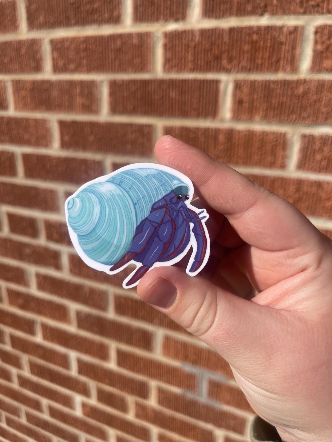 Hermit Crab Sticker | Glossy | Cute & Silly | Water and Tear Resistant ...