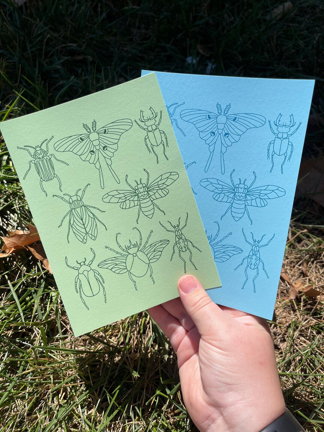 Colorful Bug Outline Art Print | Vibrant Insect Home Decor - Etsy